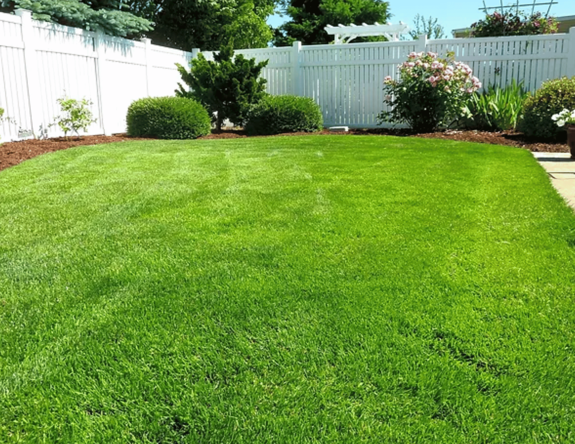 Our Products – Inland Sod | Sod Installation | Pricing & Varieties